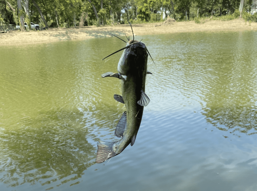 Dexter Lake Fishing Regulations