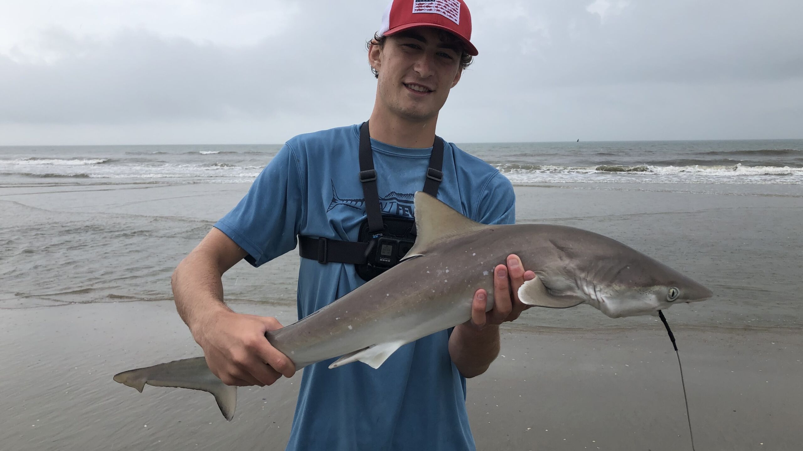 Shark Fishing: Guide for Catching Sharks from the Beach